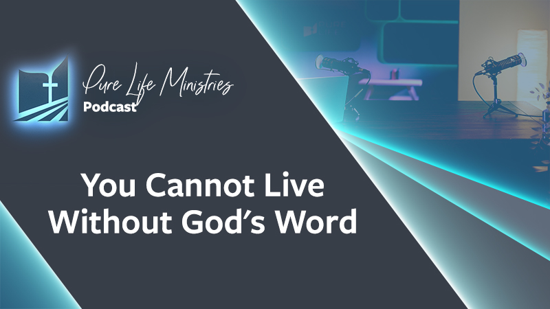 Pure Life Ministries | Start Your Journey to Freedom